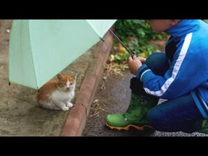 AHA! Moments - Videos designed to inspire and motivate - Soft Skills AHA